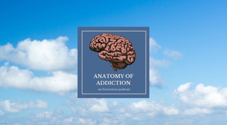 Announcing Anatomy of Addiction Podcast | Rehab MI
