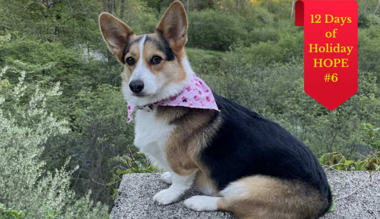 Dopamine Rush - 27 Things to Do Instead of Scroll - Sanford Behavioral ...