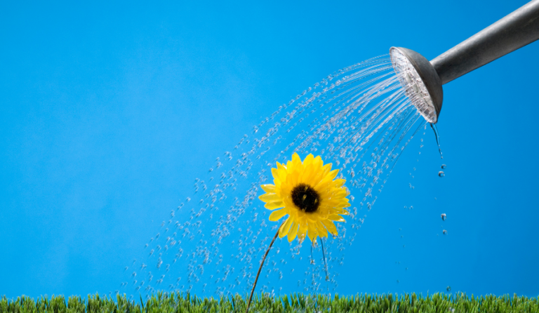 Glimmers - the Antidote to Triggers - Sanford Behavioral Health