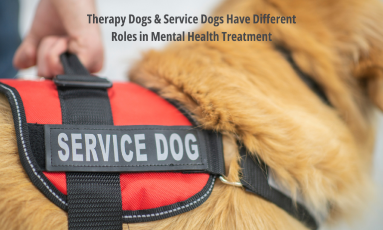 The Difference Between Therapy Dogs & Service Dogs in Rehab - Sanford ...