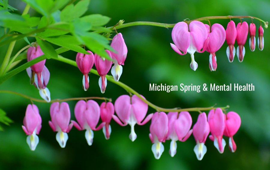 9 Reasons We Love Spring in Michigan! - Sanford Behavioral Health