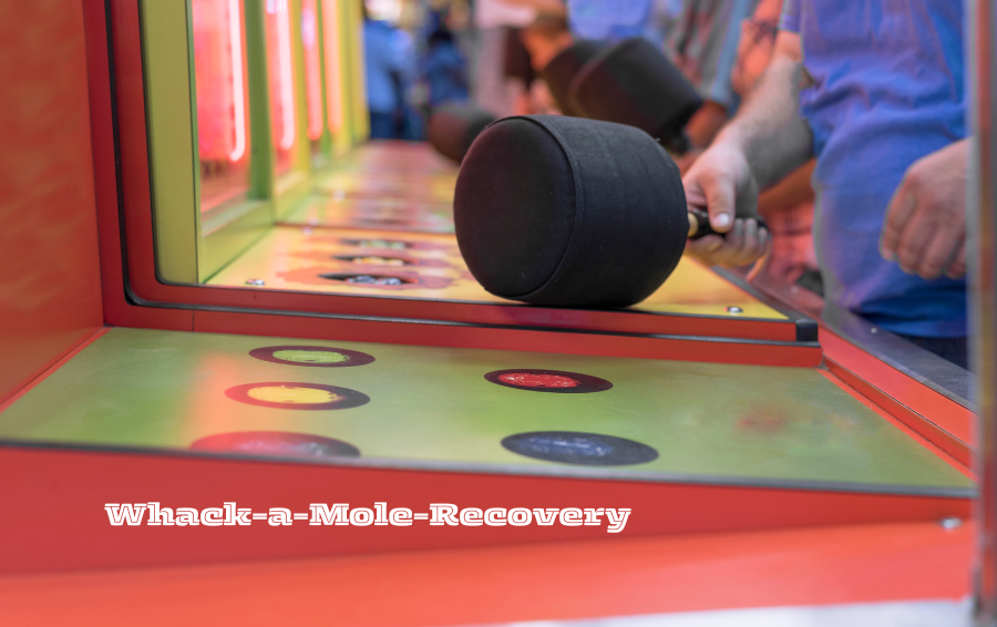 Whack-a-Mole-Recovery and the Behavioral Health Campus - Sanford ...